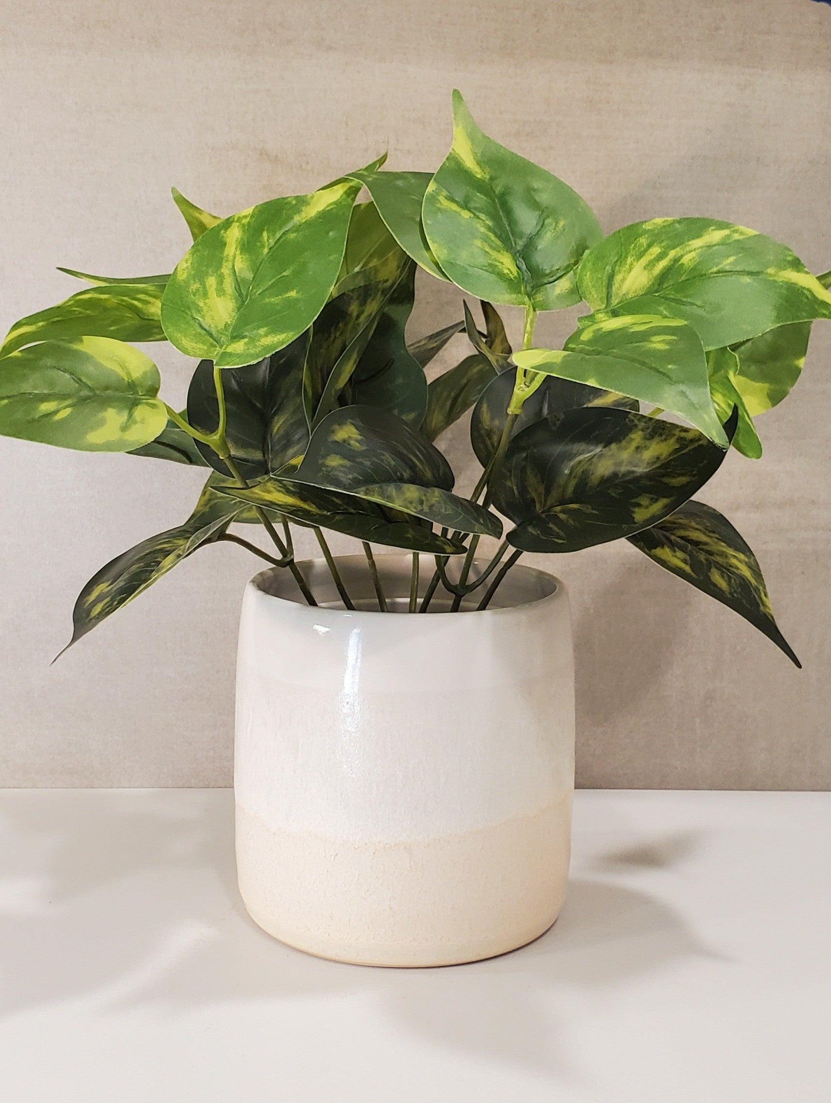 Palisade Ceramic Planter - Colorado Pottery – Saved By Clay Studio